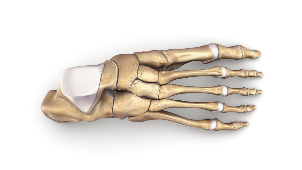 Overlapping Toes - AOA Orthopedic Specialists